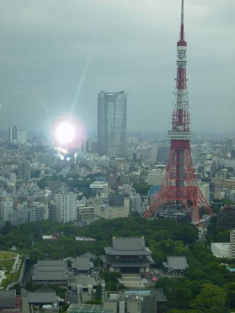 First Glimpse of Tokyo - Quick Whit Travel