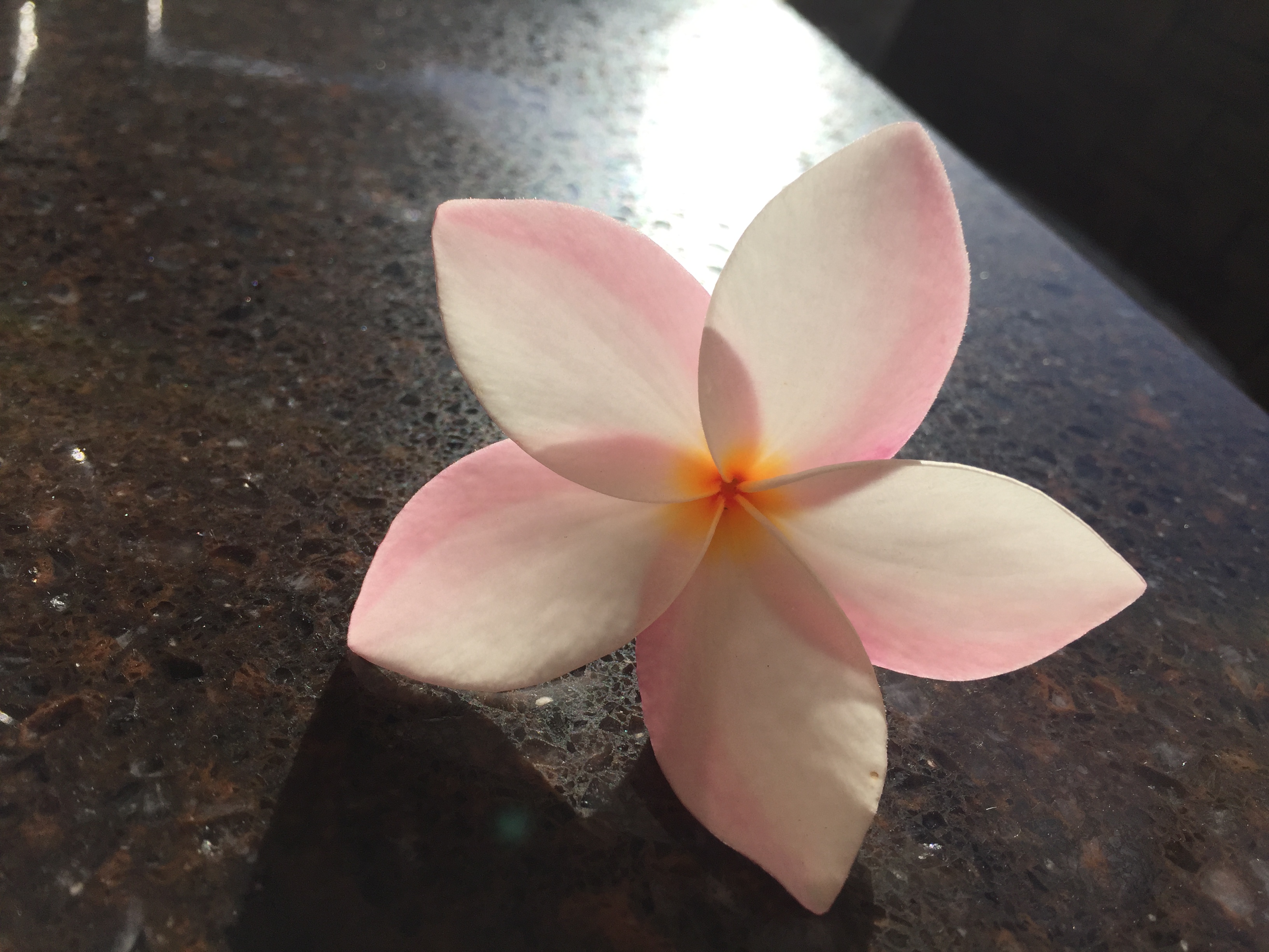 The Best 10 Reasons to Visit Kaua'i - Quick Whit Travel