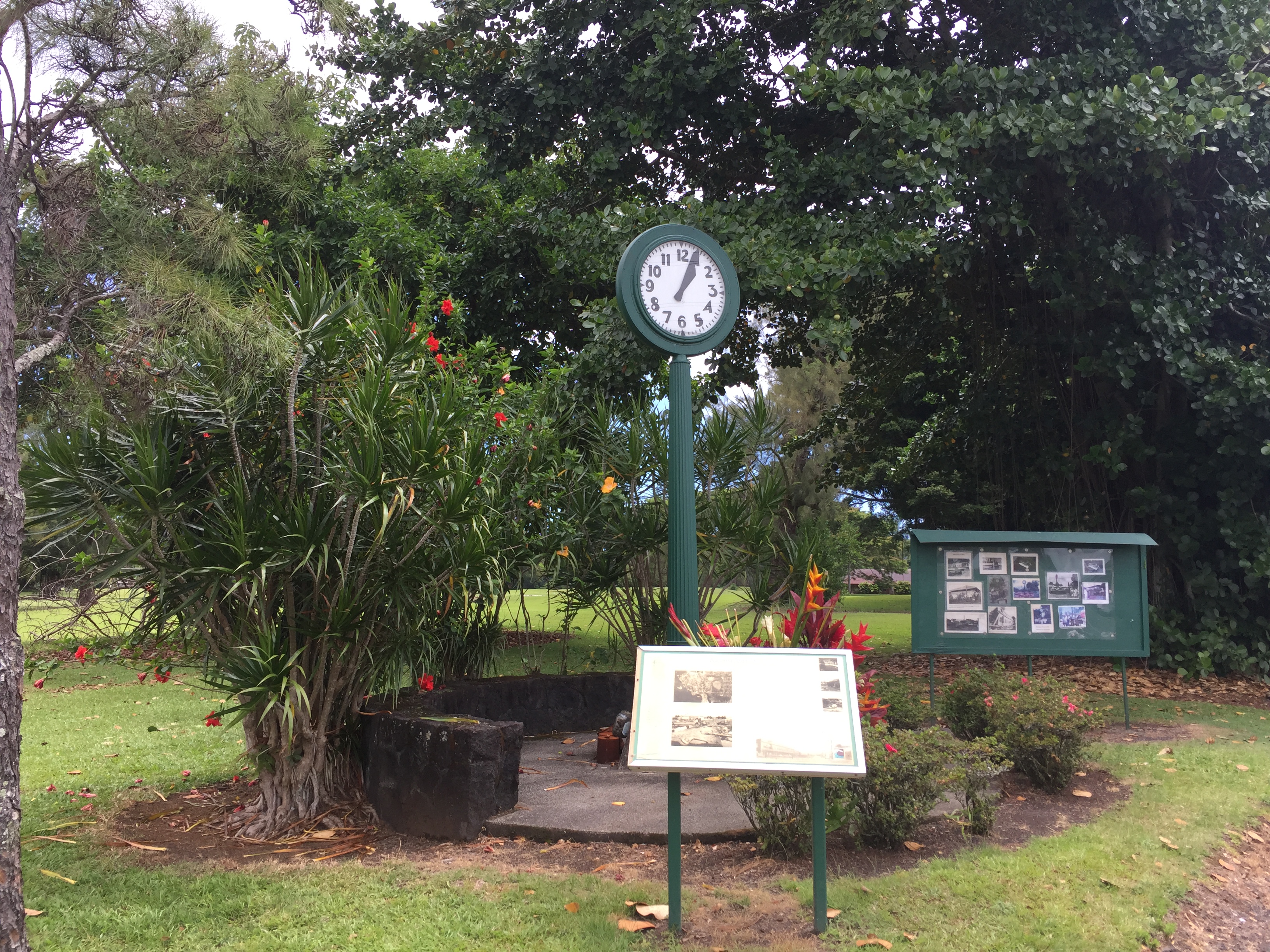 The Best 10 Things to Do in Hilo - Quick Whit Travel