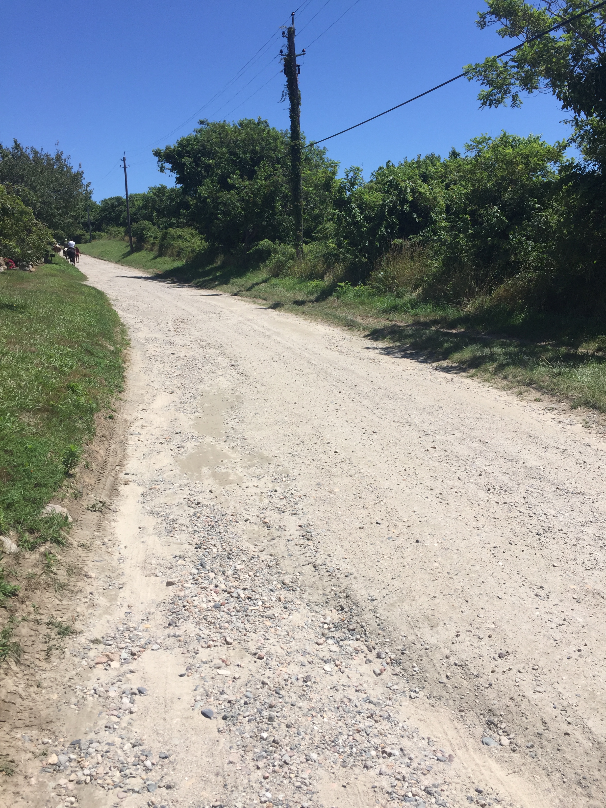 Biking on Block Island (with maps!) - Quick Whit Travel