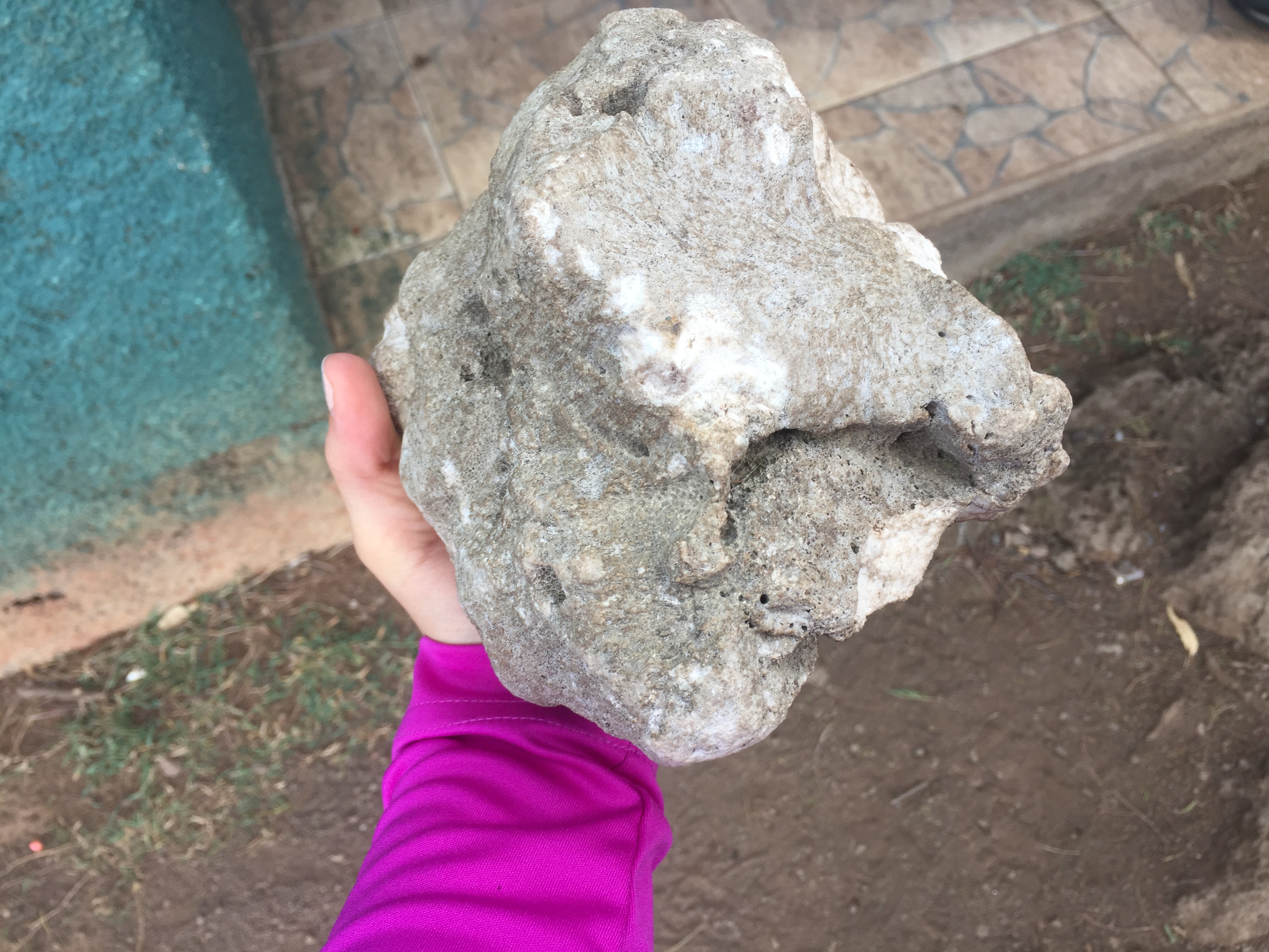 Tour of the Moai: The Heads of Easter Island - Quick Whit Travel