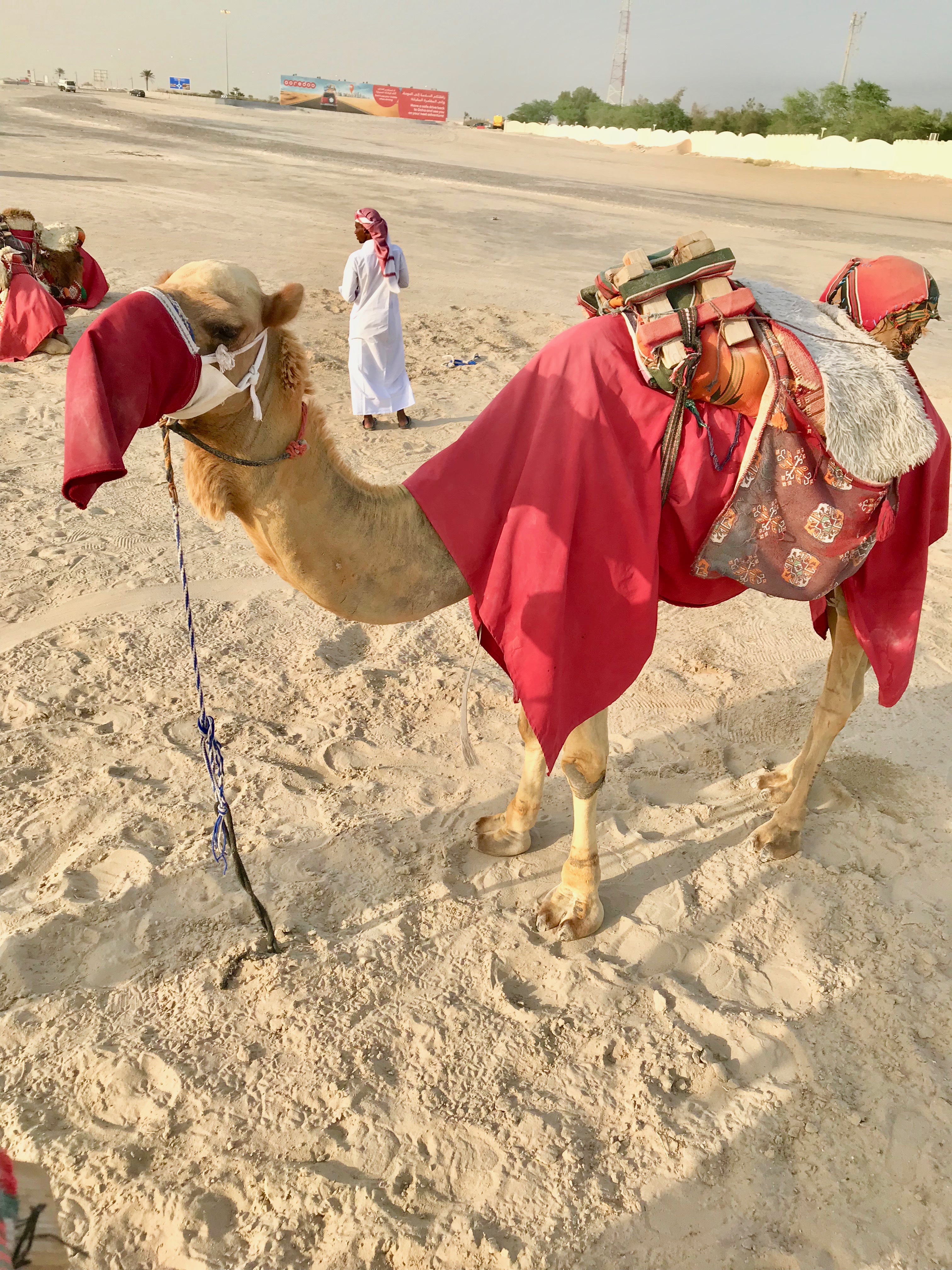 Your Ultimate Guide to Solo Travel in Doha, Qatar - Quick Whit Travel