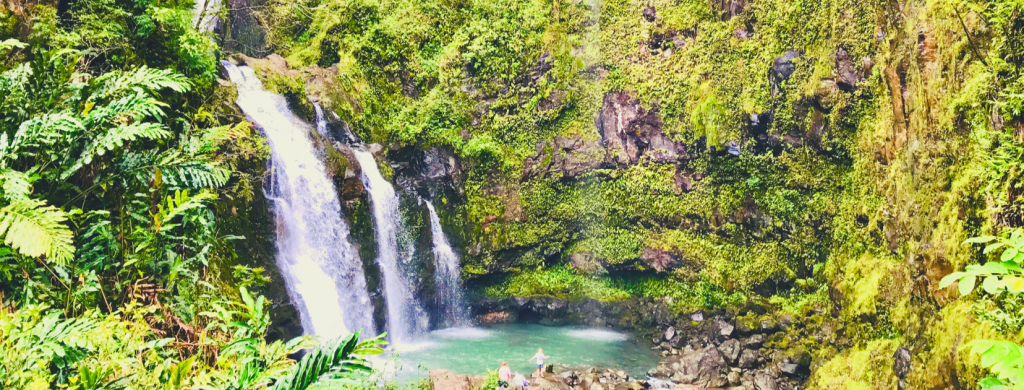 Exactly How to Spend 8 Perfect Days on Mau'i - Quick Whit Travel