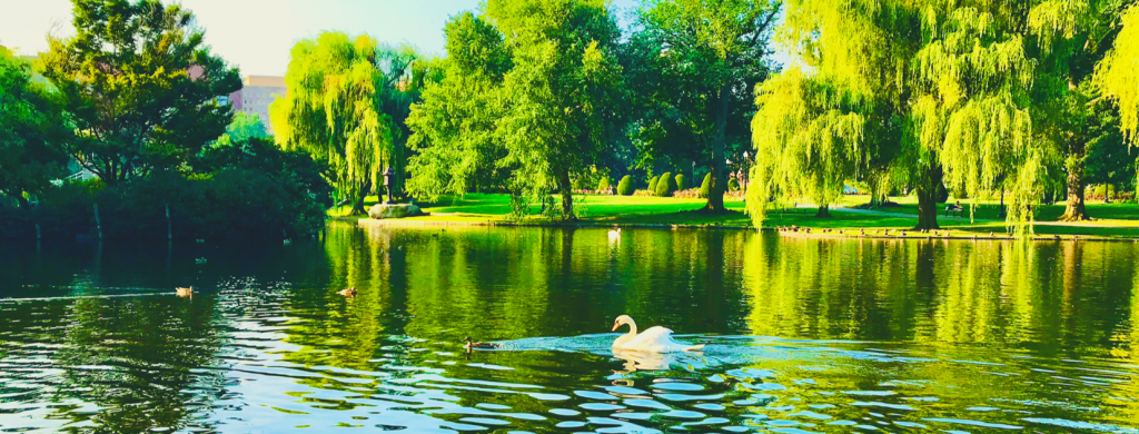 What to Know Before You Visit Boston - Quick Whit Travel