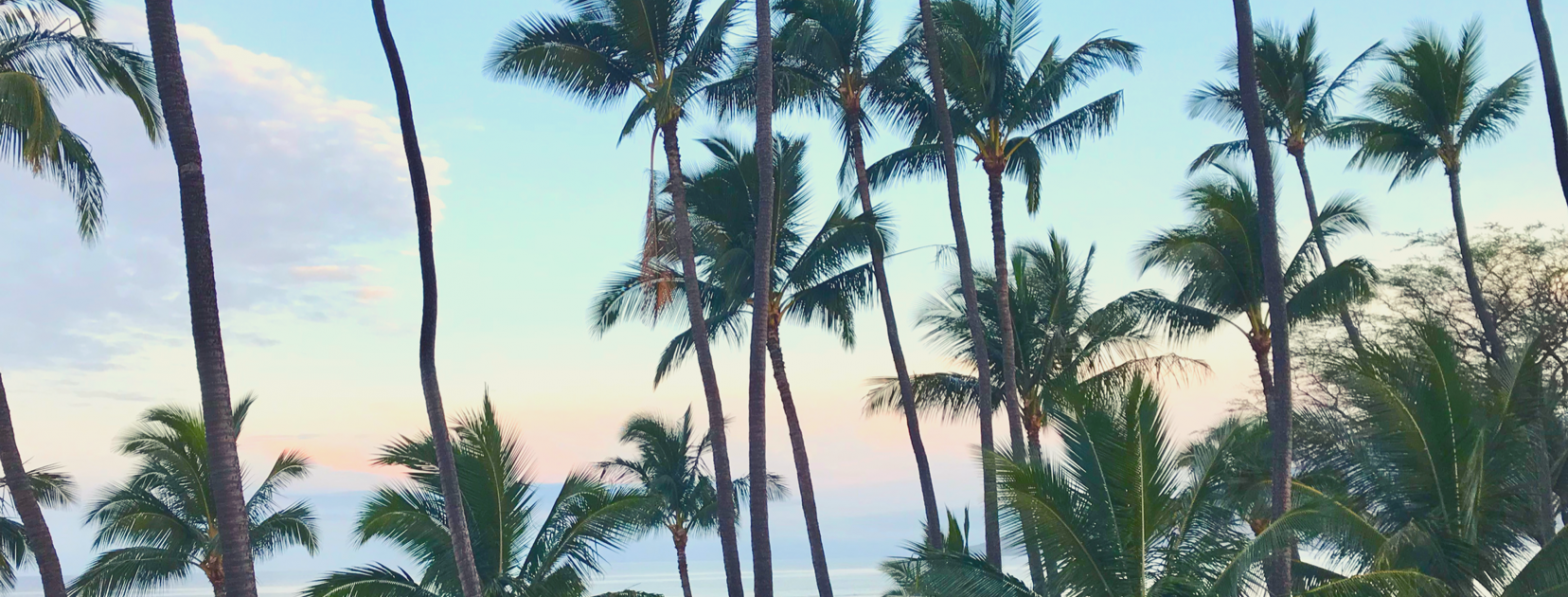 The Best 10 Reasons to Visit Mau'i - Quick Whit Travel