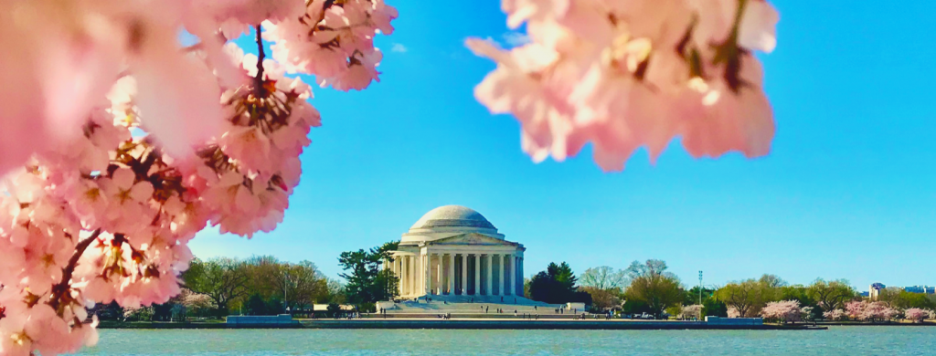 D.C. in Spring - Quick Whit Travel
