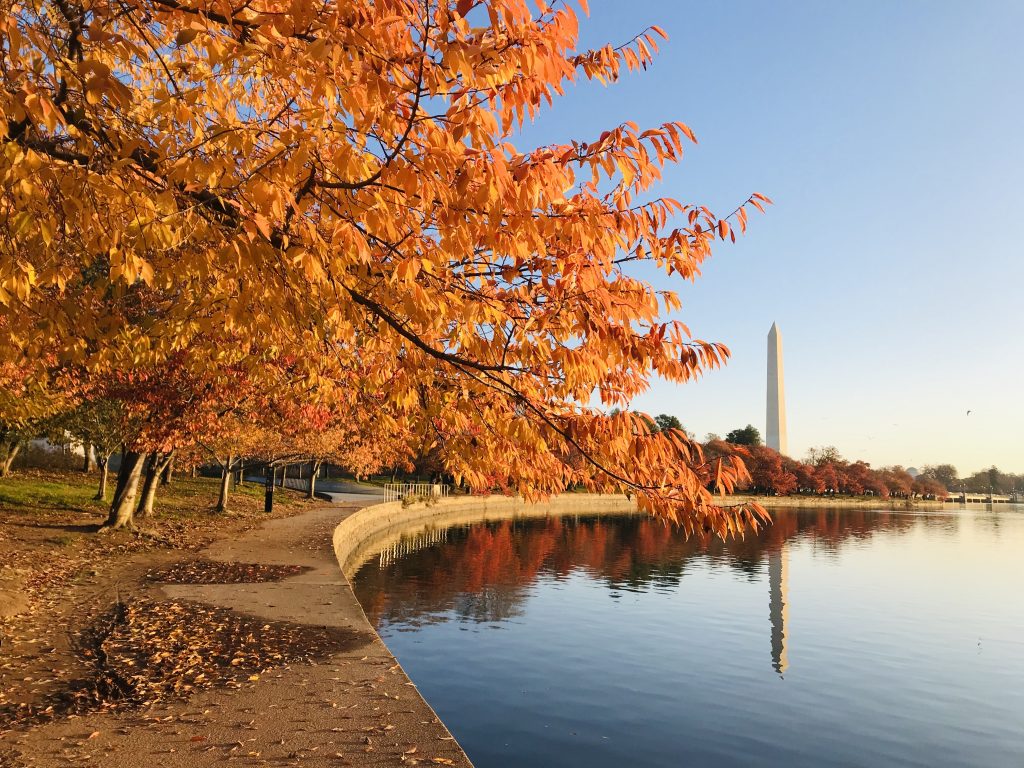 The Ultimate List of Fall Destinations - Quick Whit Travel