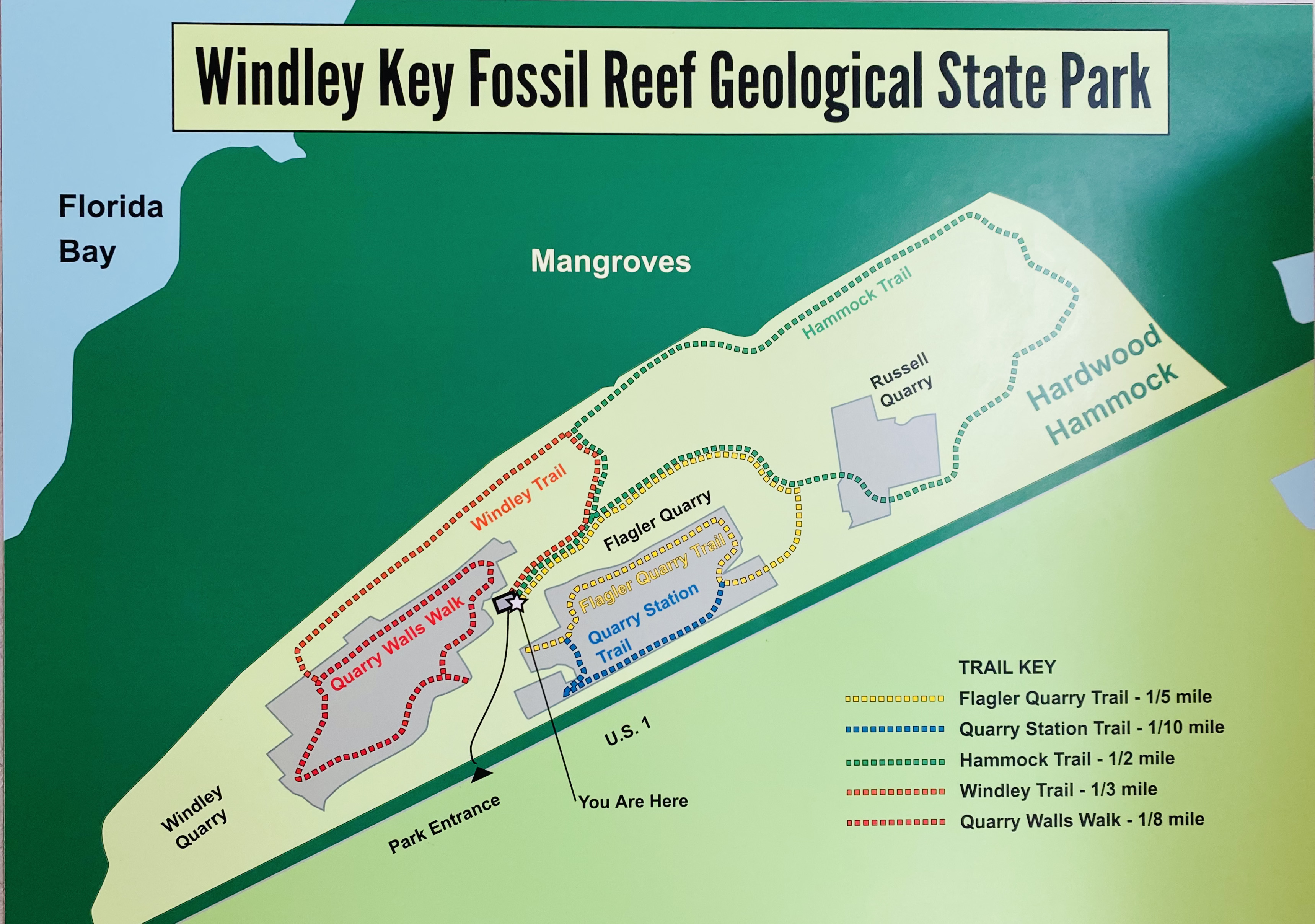 Everything You Need to Know about Windley Key Fossil Reef Geological ...