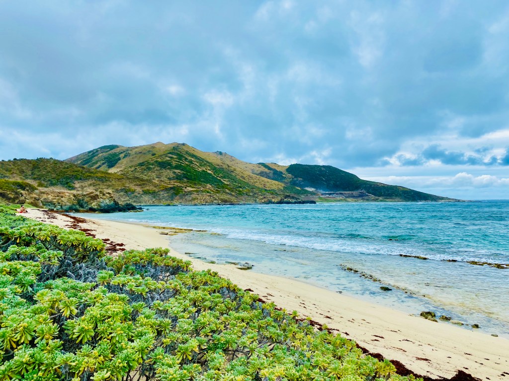 The Ultimate Guide to Pinel Island, St. Martin - Quick Whit Travel