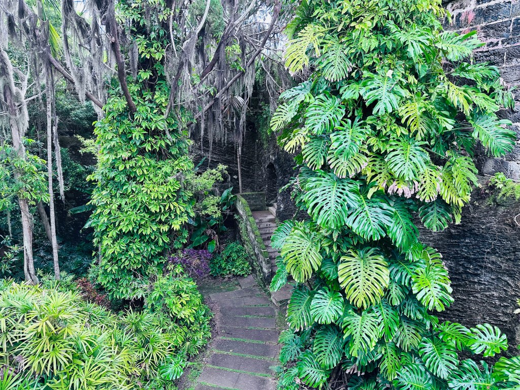 How to Spend 1 Day in Hamilton on Bermuda - Quick Whit Travel