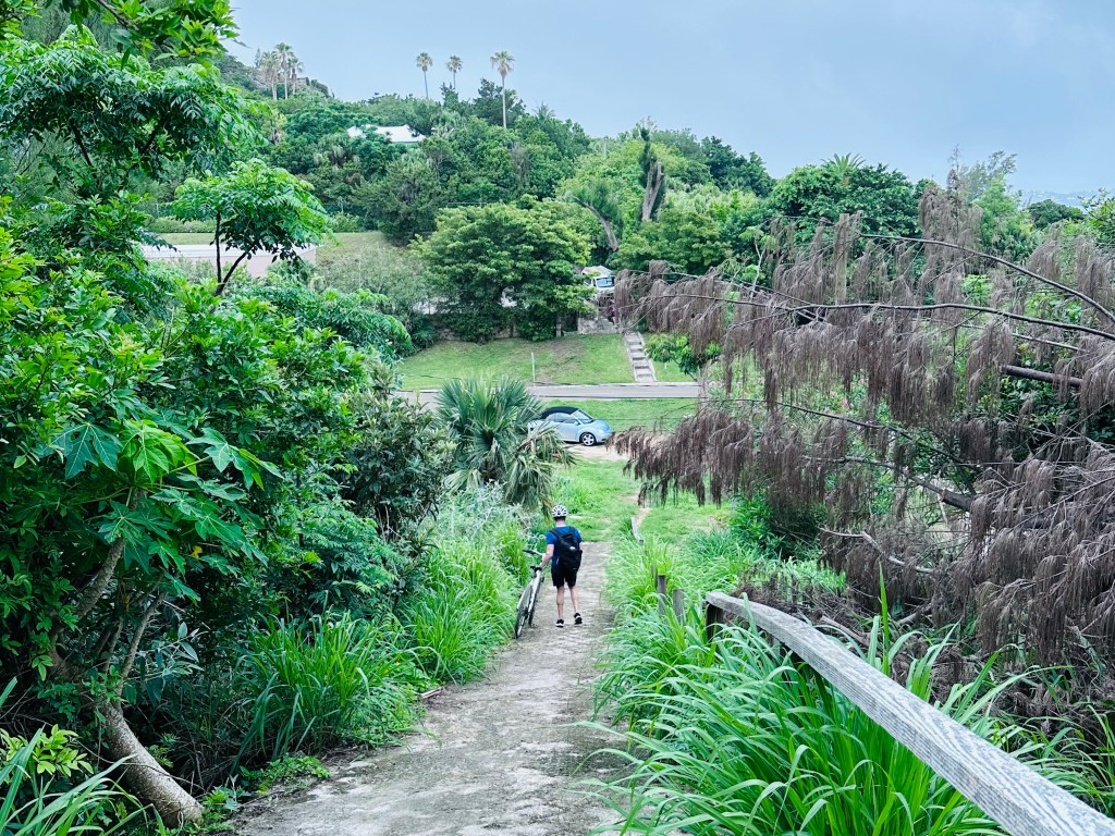 Your Ultimate Guide to Getting Around Bermuda - Quick Whit Travel