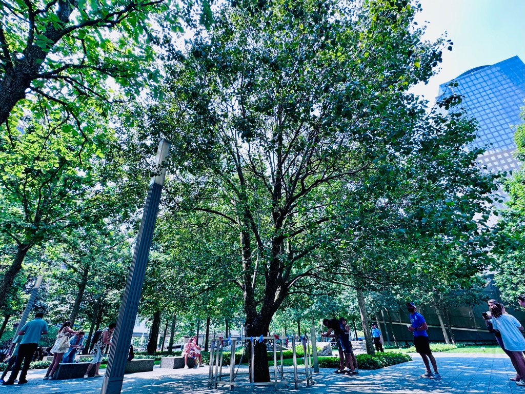 Everything You Need to Know about Visiting the 9/11 Memorial in New ...